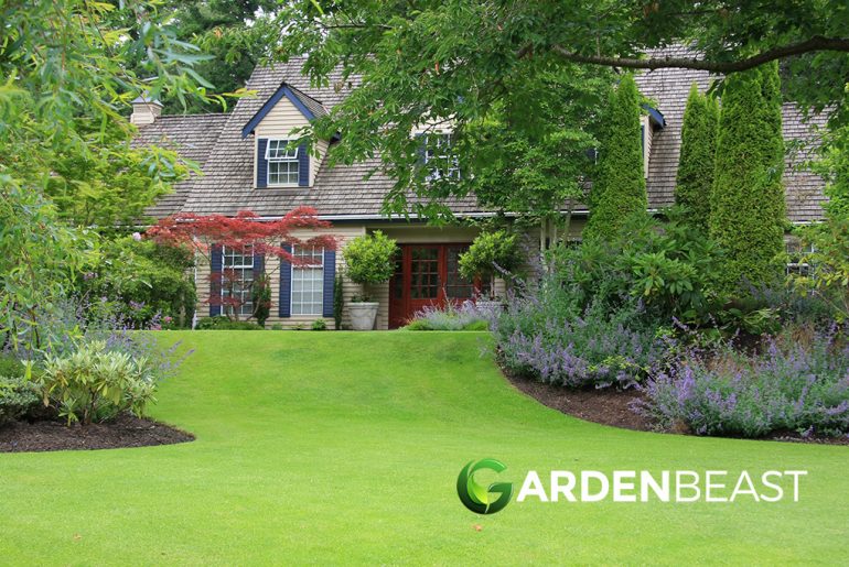 10 Best Landscaping Shrubs for Your Yard: Complete Guide