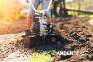What is Dry Farming? Here's Everything You Need to Know