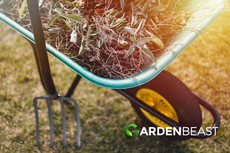 Best Motorized Wheelbarrow Reviews 2024: Complete Buyer's Guide