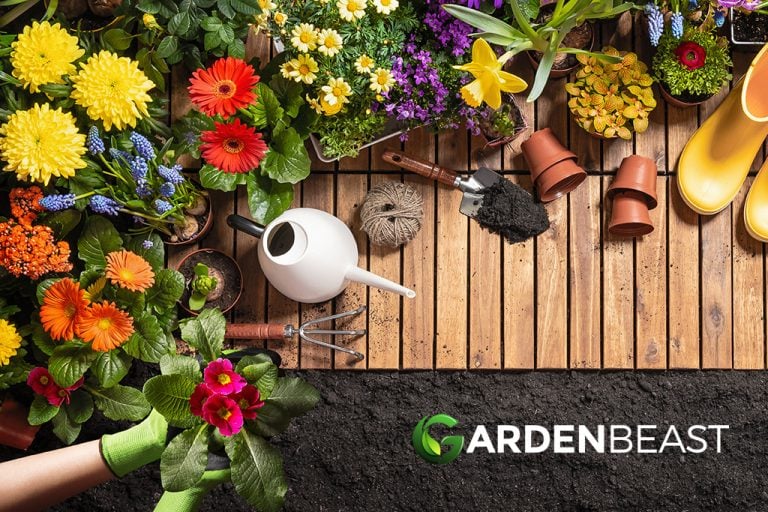 What Are the Most Popular Plants & Gardening Trends