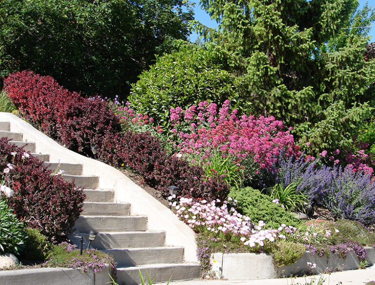 What Is Xeriscaping? Here’s Everything You Need to Know