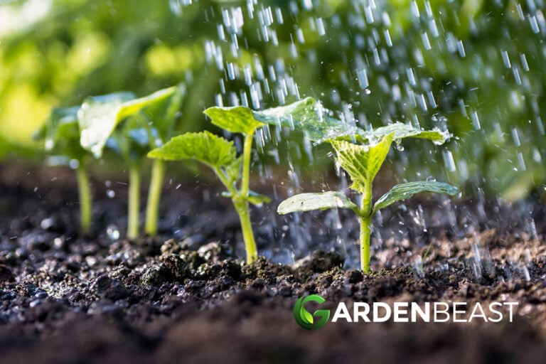 Plants That Love Wet Soil: Our Top 14 Picks & Growing Tips