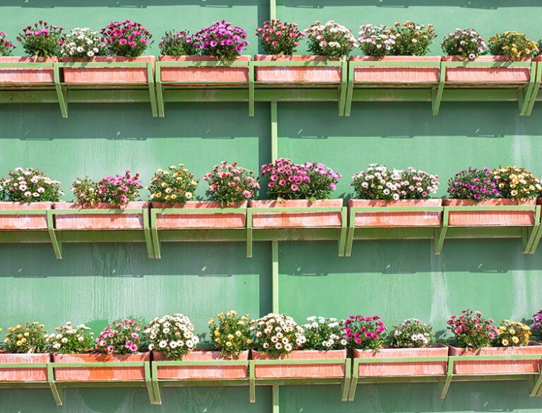 Maximizing Small Space Gardens: Utilizing Vertical Planters
