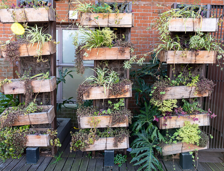 Maximizing Small Space Gardens: Utilizing Vertical Planters